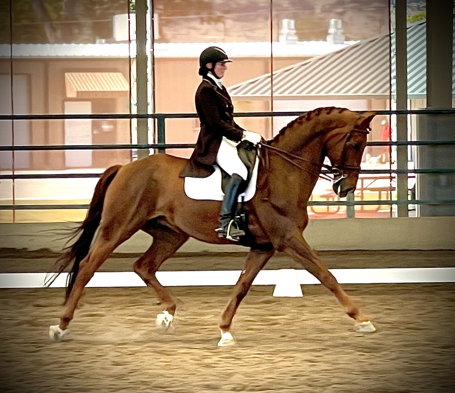 THE REALITY OF DRUG TESTING AT USEF | Serious About Excellence